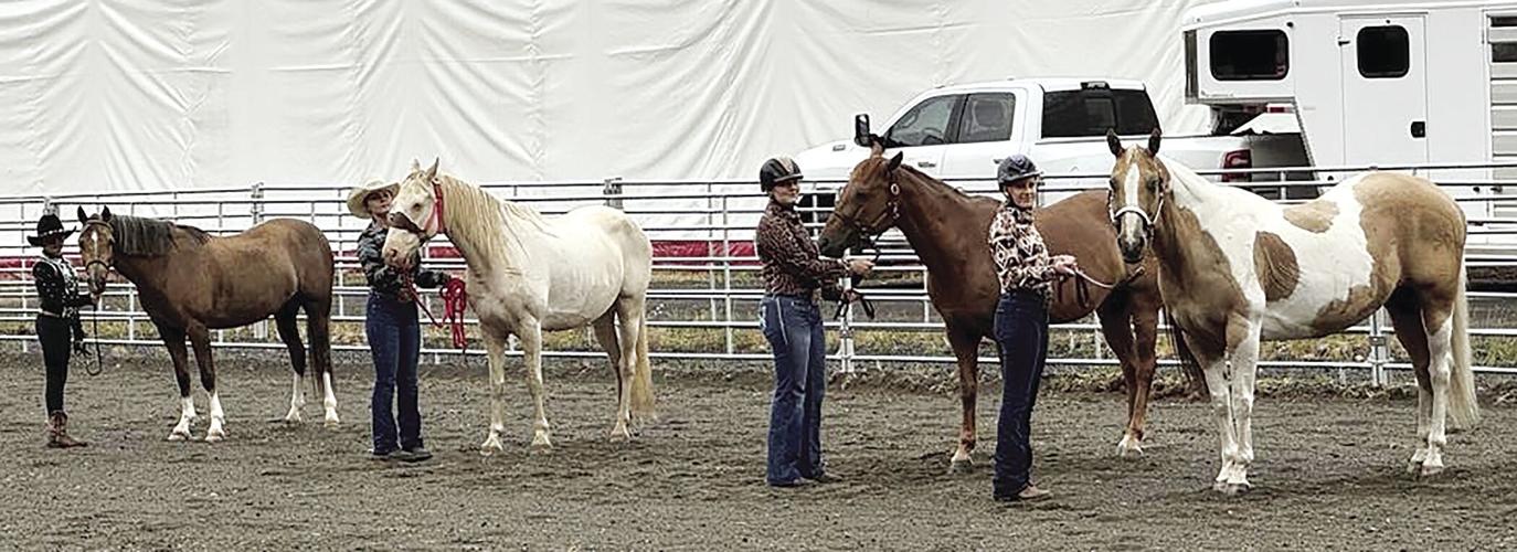 2024 CLEARWATER COUNTY 4-H HORSE SHOW RESULTS | Sports ...