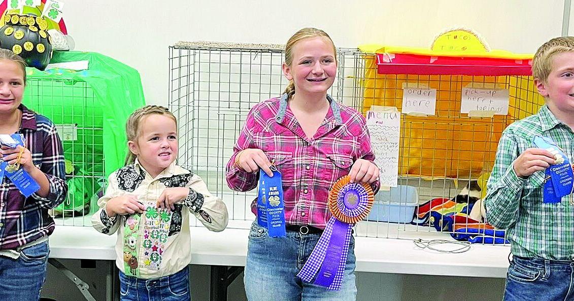 2025 4-H Cat Show | Community News | clearwatertribune.com