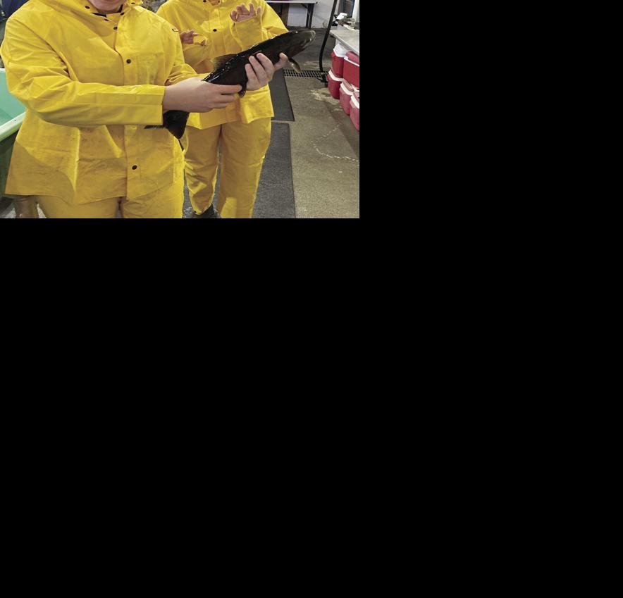 Orofino Fisheries, Wildlife, & Forestry Students Gain Employable ...