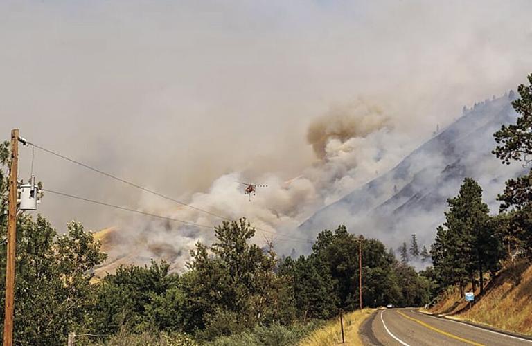 Gwen Fire | Top Stories | clearwatertribune.com