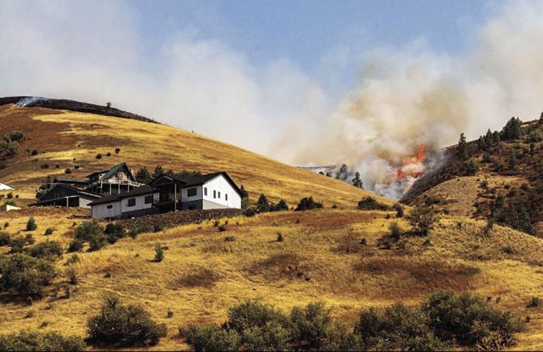 Gwen Fire | Top Stories | clearwatertribune.com