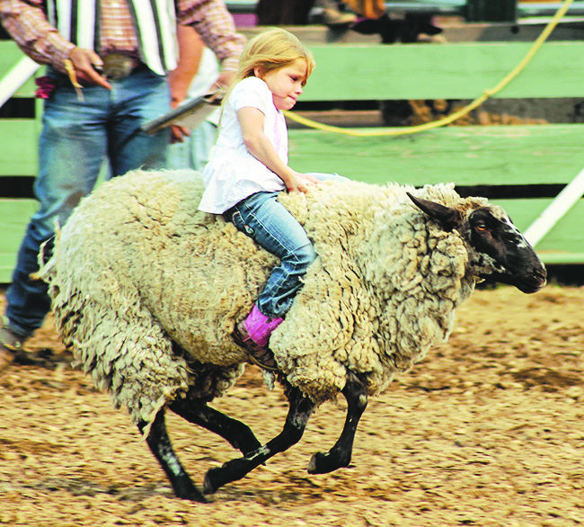Wild Weippe Rodeo | | clearwatertribune.com