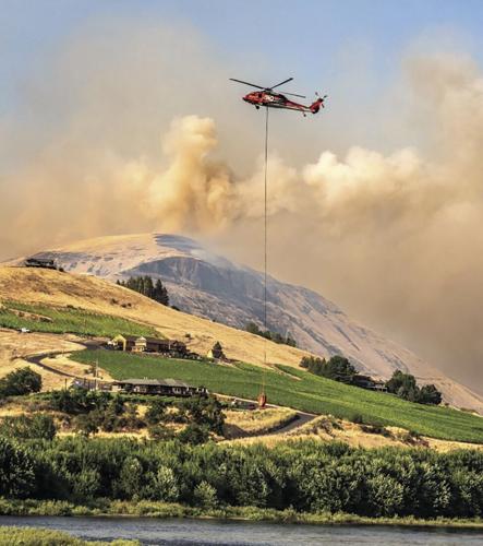 Gwen Fire | Top Stories | clearwatertribune.com
