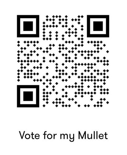 EDWARD-ASHER PARODI – IDAHO’s ELUSIVE MANIAC MULLET | Community News ...