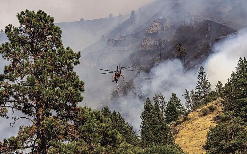 Gwen Fire | Top Stories | clearwatertribune.com