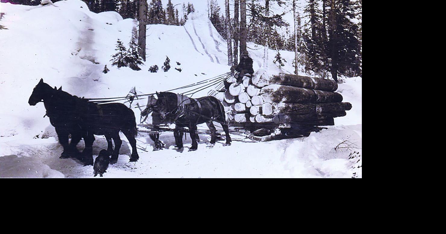 Hauling logs on a sled | Community News | clearwatertribune.com