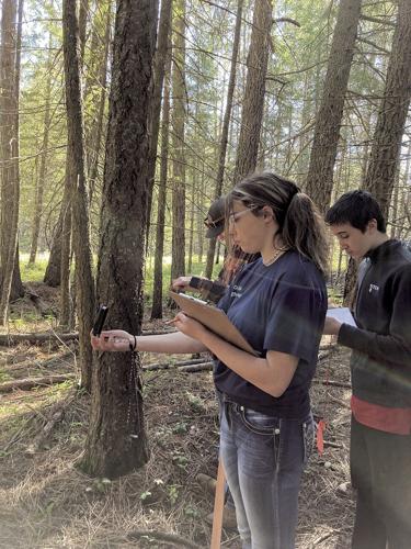 OHS Forestry Team earns 3rd place recognition at Idaho State Forestry ...
