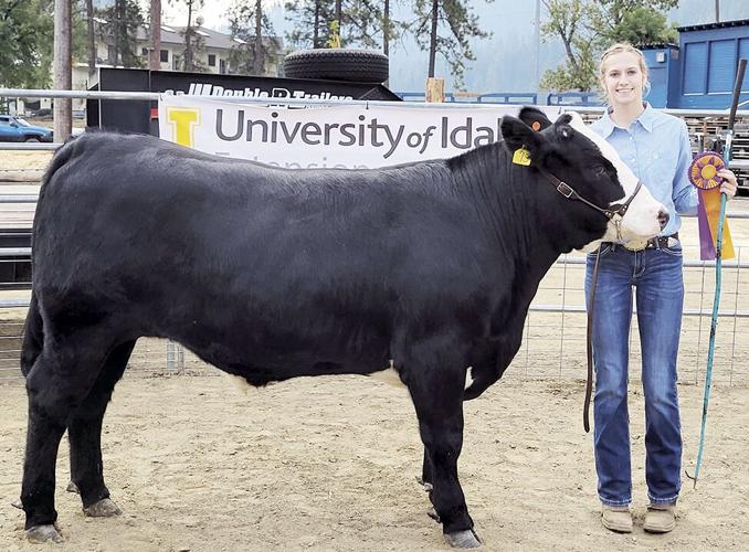 2022 Clearwater County 4-H Show & Livestock Auction | Top Stories ...