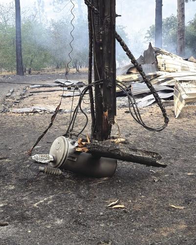 Gwen Fire | Top Stories | clearwatertribune.com