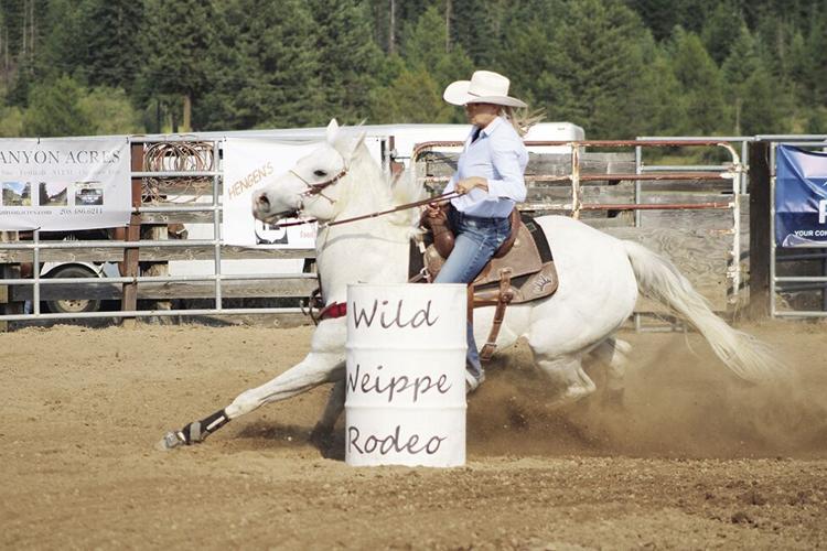 the WILD WEIPPE RODEO | Top Stories | clearwatertribune.com