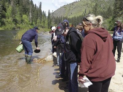 Tribal Fisheries and Nez Perce- Clearwater National Forests partner to ...