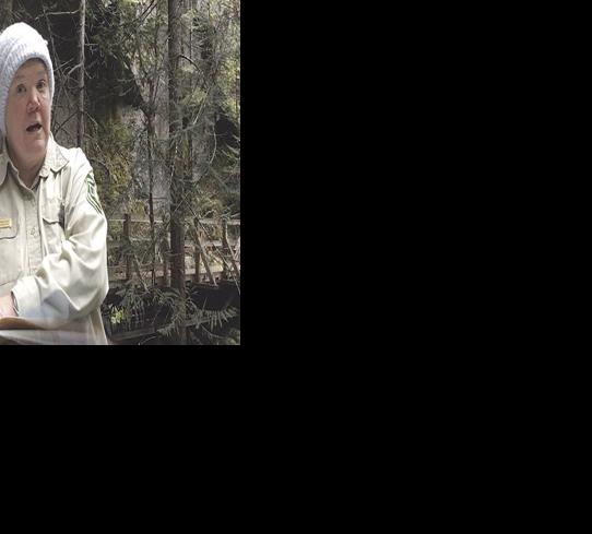 Read a book? Visit the forest? Why not BOTH? | Outdoors ...