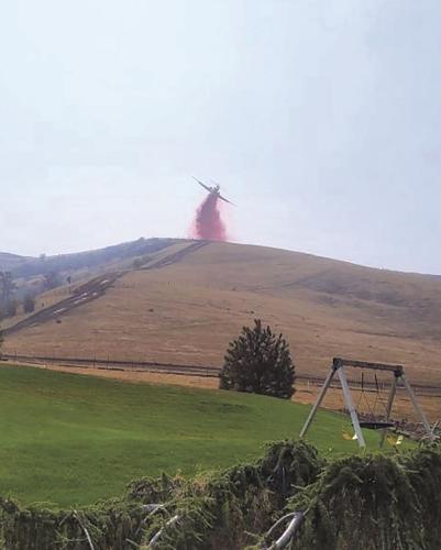 Gwen Fire | Top Stories | clearwatertribune.com