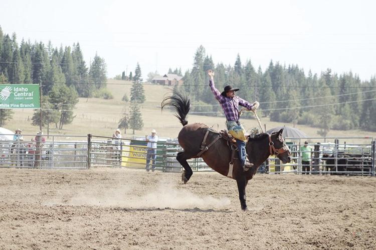 the WILD WEIPPE RODEO | Top Stories | clearwatertribune.com