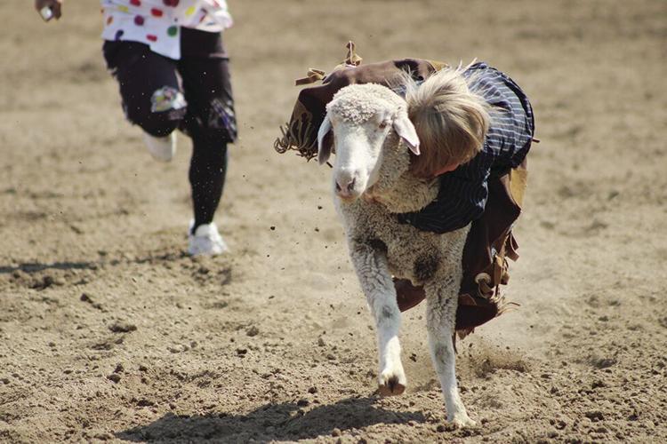 the WILD WEIPPE RODEO | Top Stories | clearwatertribune.com