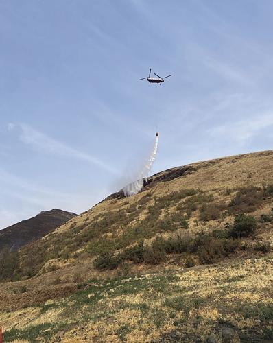 Gwen Fire | Top Stories | clearwatertribune.com
