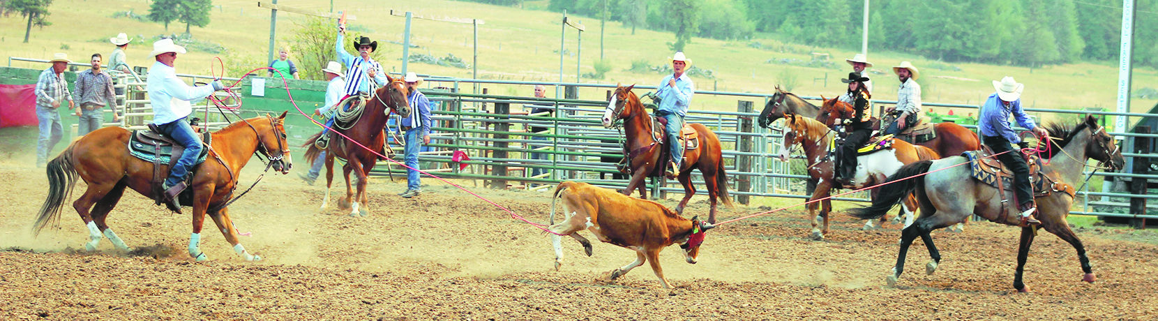Wild Weippe Rodeo | | clearwatertribune.com