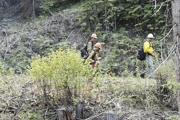 Spring prescribed burning beginning to wind-down on the Nez Perce ...