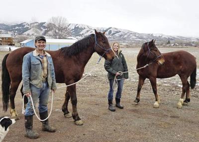 Wild Mustangs Tito and Nugget join the Moose Creek Ranger District’s ...