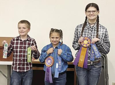 2023 4-H Cat Show | School News | clearwatertribune.com