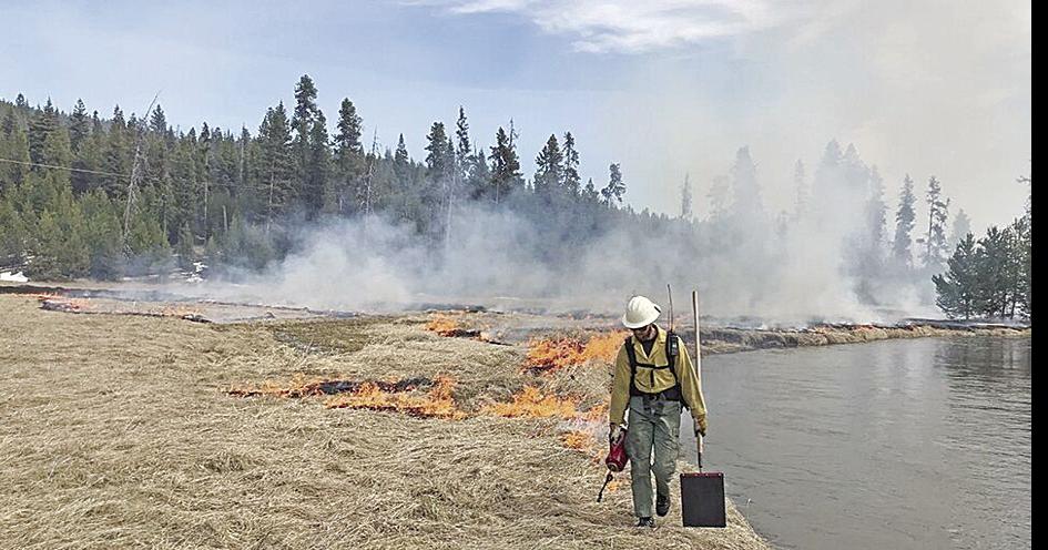 Prescribed burn operations scheduled on Red River WMA starting mid ...