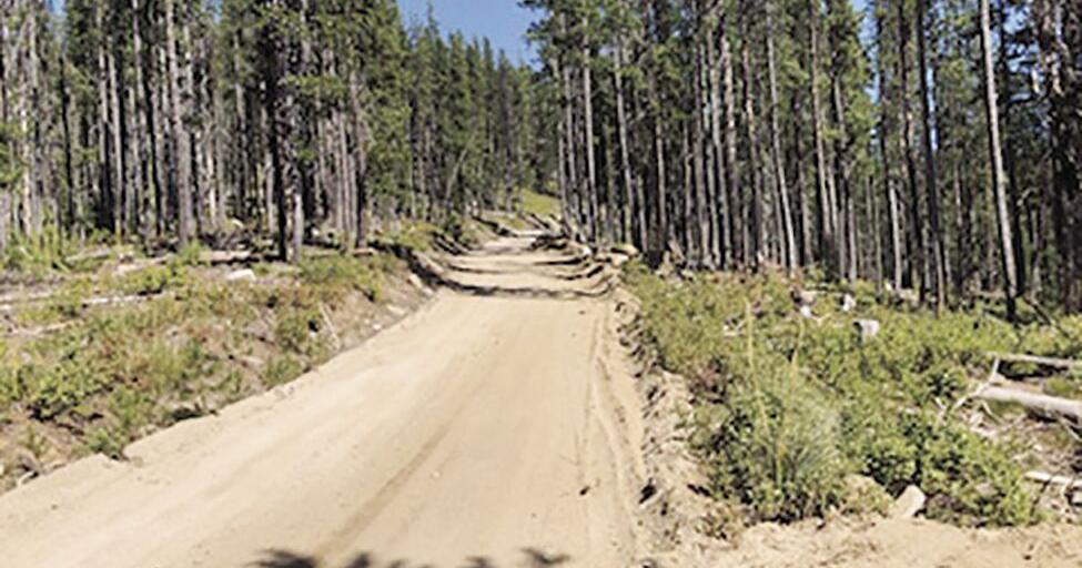 Expect delays on Lolo Motorway | Outdoors | clearwatertribune.com