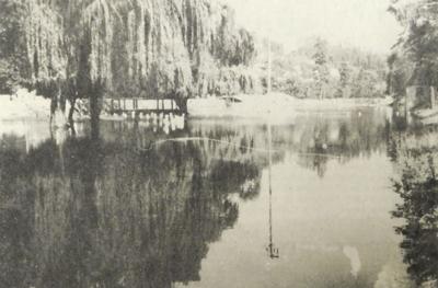 Down Memory Lane for the week of June 19, 2024 | Down Memory Lane ...