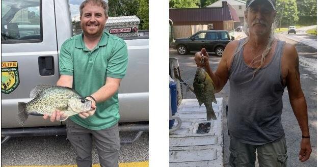 Two WV state record fish caught in June | News | coalvalleynews.com