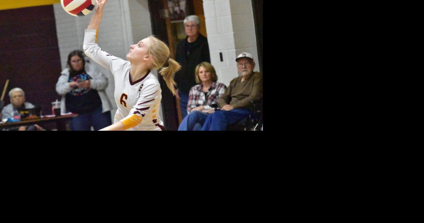 Tide volleyball sweeps Montcalm for regional championship | Sports ...