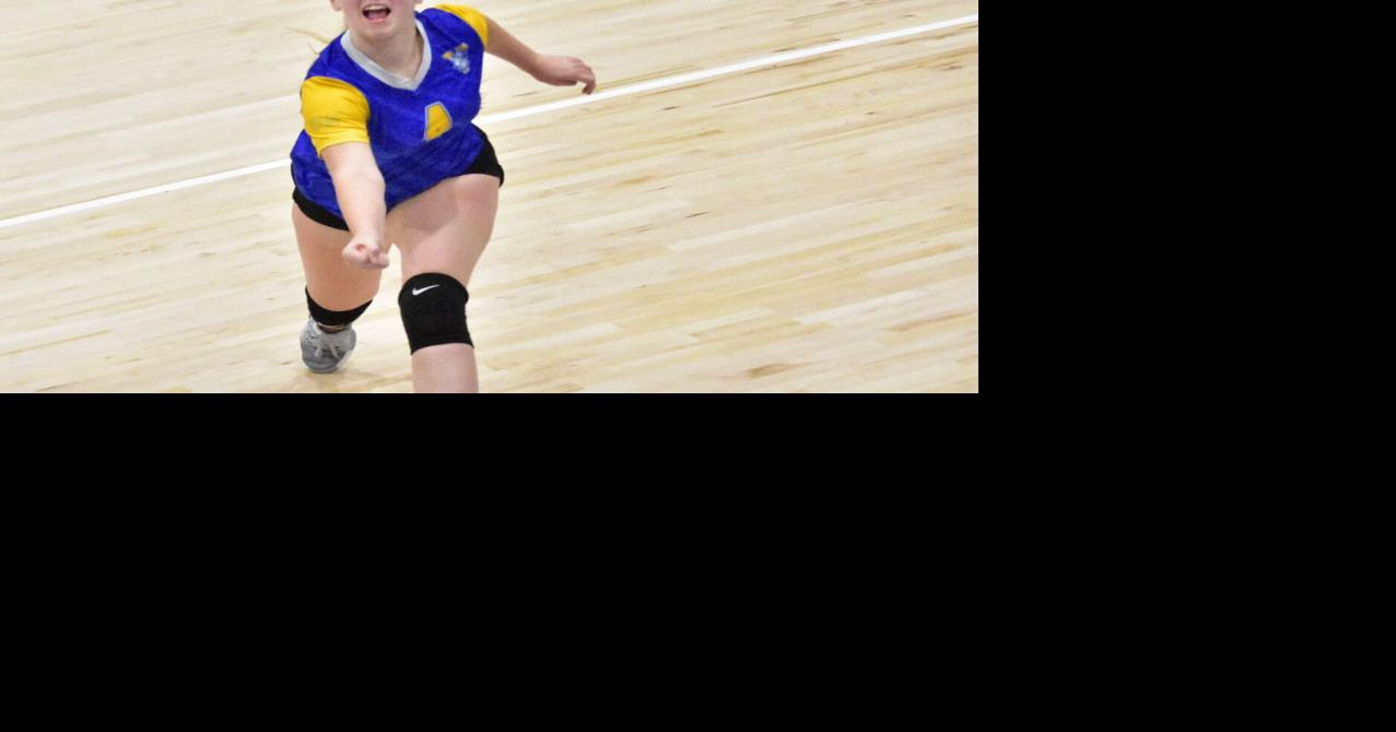 Van volleyball suffers home sweep by Mount View | Sports ...