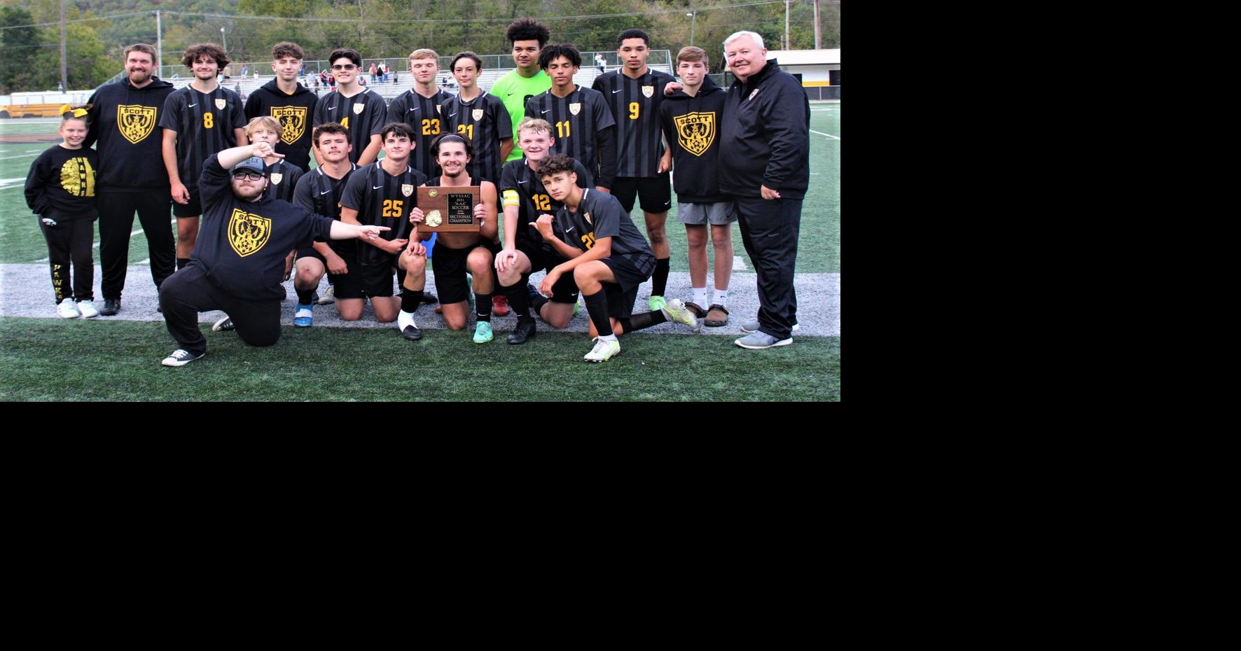 PHOTOS: Skyhawk boys' soccer are section champs | Photos ...