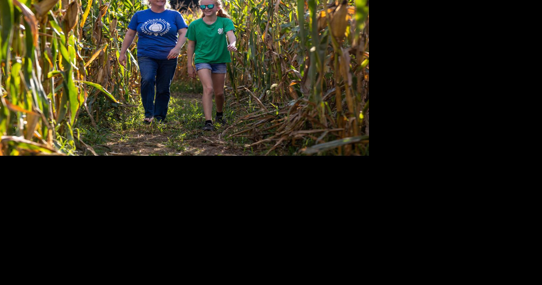 Photos: Wilson Family Farm opens for the season | Multimedia ...