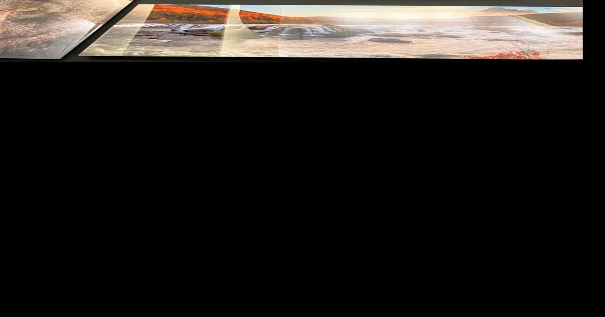 Lewis a juried artist at the Tamarack Gallery | News | coalvalleynews.com