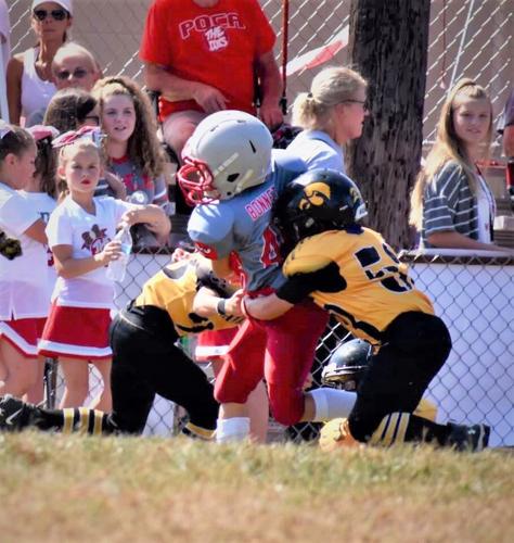 Hawks sweep Poca, take four games | Sports | coalvalleynews.com