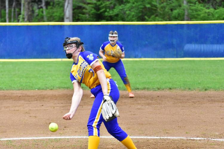 Van softball pummeled 15-0 by River View | Sports | coalvalleynews.com