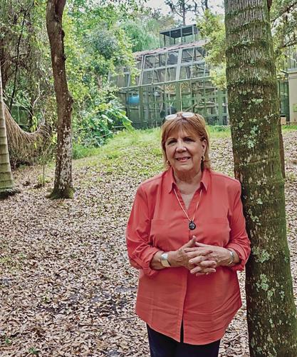 Going Ape Over Apes | Environment | coastalbreezenews.com