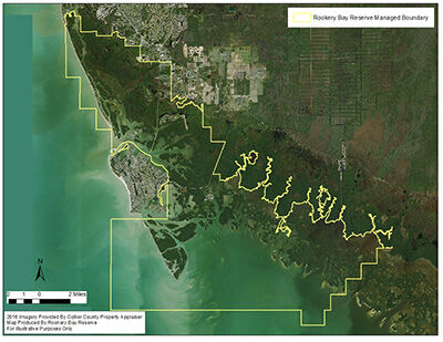 National Estuaries Day at Rookery Bay a Great Success | News ...