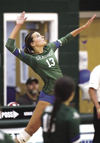 Rays Advance to State Championships | Sports | coastalbreezenews.com