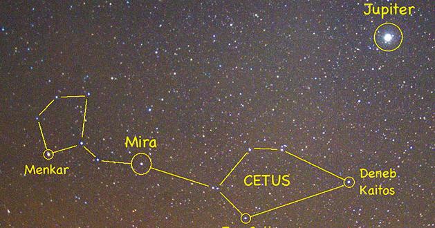 cetus constellation month