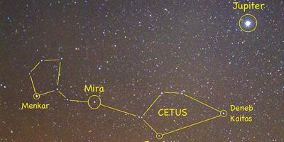 cetus constellation description