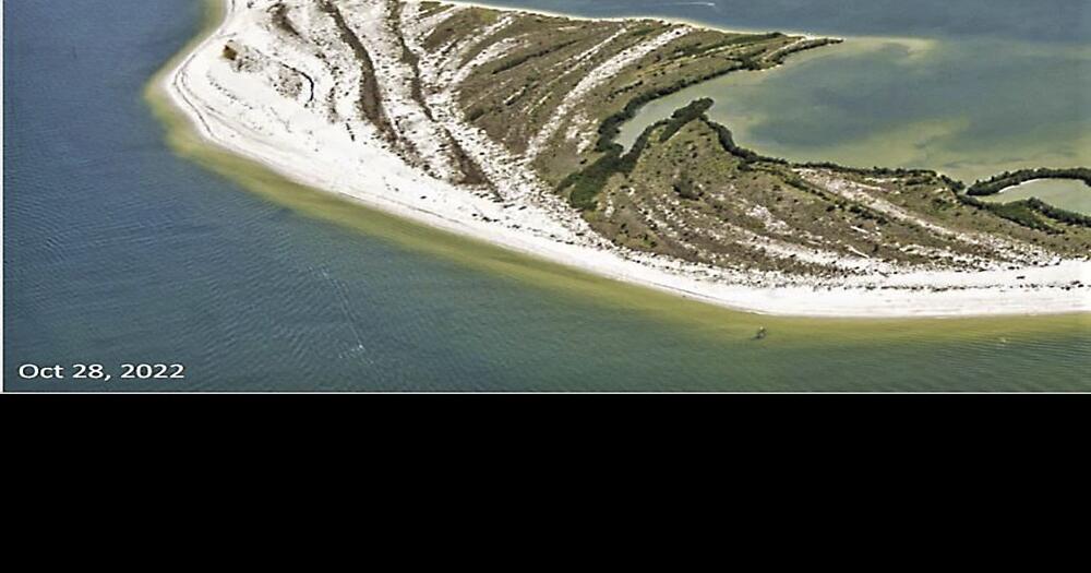 Council Gets Update on Tigertail Lagoon Restoration Project | City ...