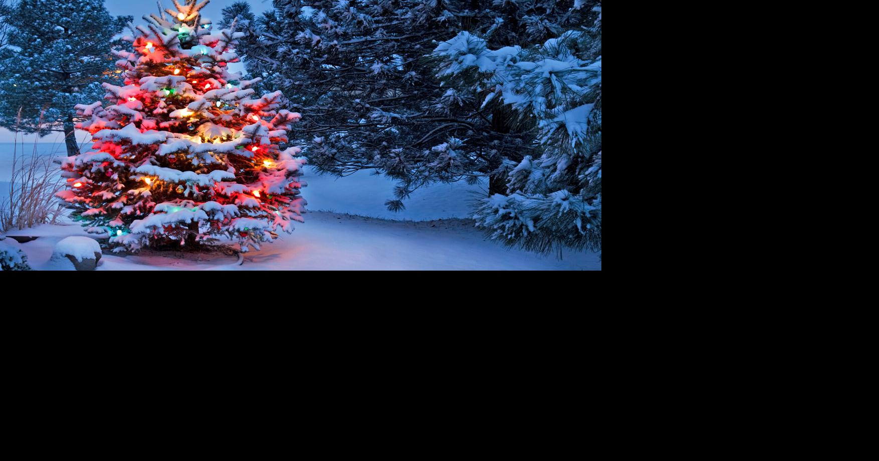 A Light in the Darkness | Beach Boy Chronicles | coastalbreezenews.com