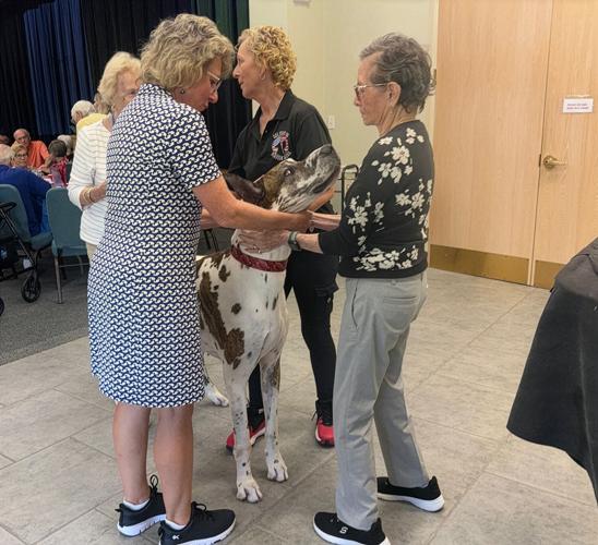Seniors Meet Rodeo from Got Your Six Service Dogs | Community ...