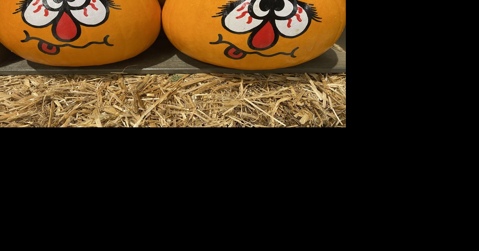 It’s Everything Pumpkin in October | News | coastalbreezenews.com