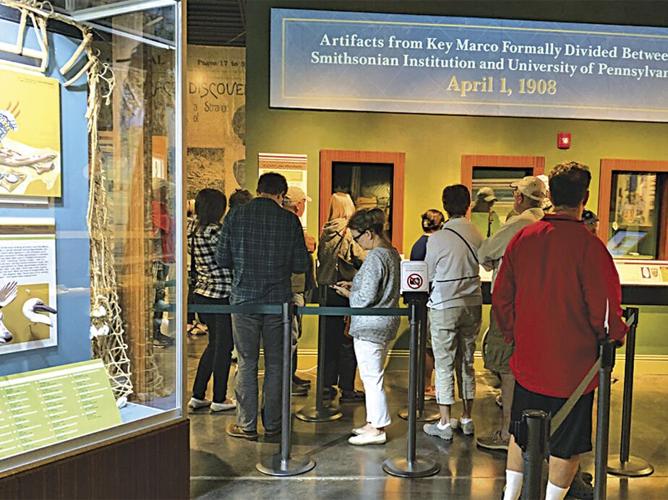 Kat, Kittens and Feline Faces to Celebrate the Return of the Key Marco ...