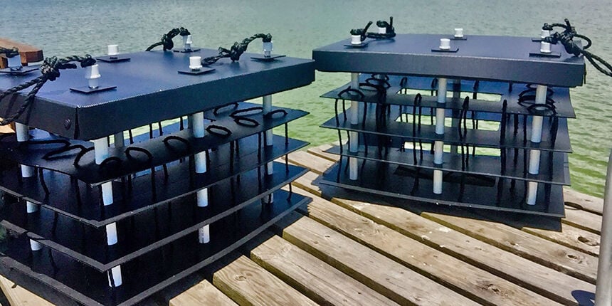 Mini Reefs, Big Results | News | coastalbreezenews.com