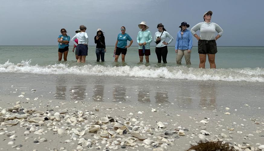 The Fish, The Birds, and The Beach | Lifestyles | coastalbreezenews.com