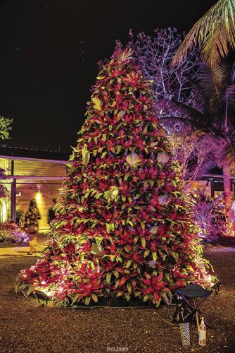 The Magical Johnsonville Night Lights at Naples Botanical Garden ...