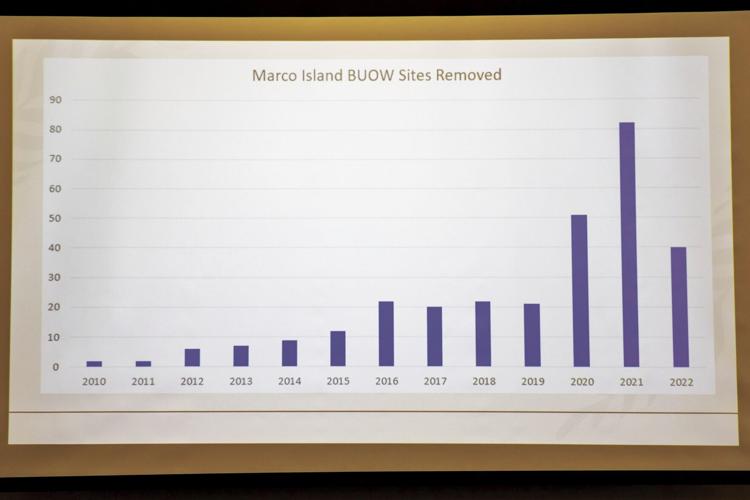 Giving a Hoot During Burrowing Owl Nesting Season | Environment ...
