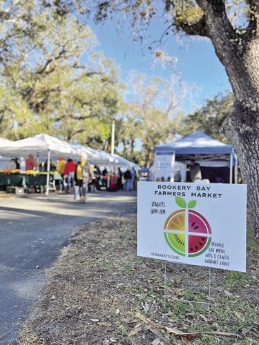 Visit and Rediscover Rookery Bay in March | Events | coastalbreezenews.com